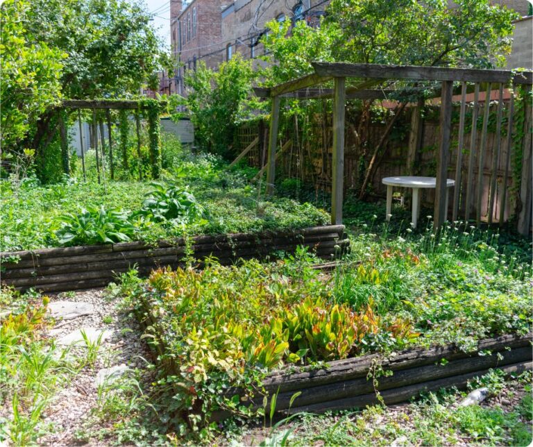 Visit Gee Farms – Gee Farms